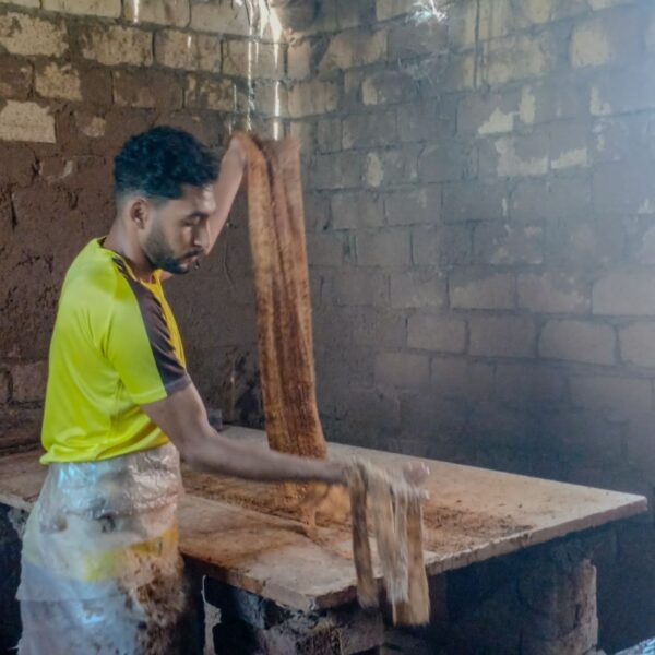 The paper that built a civilization: the story of papyrus between ...